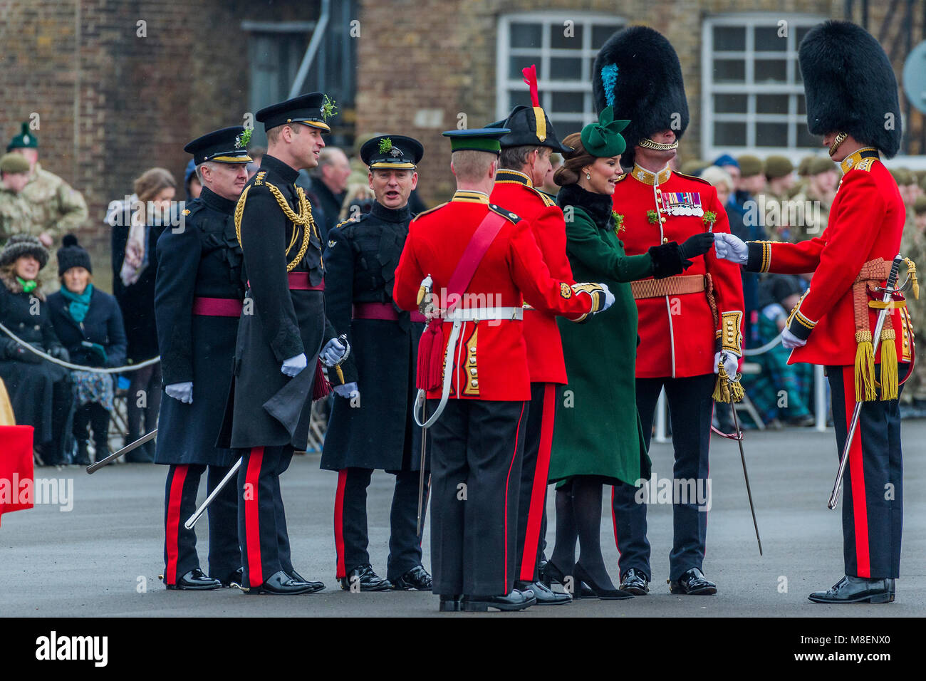 Officers Of The Irish Guards Stock Photos & Officers Of The Irish ...
