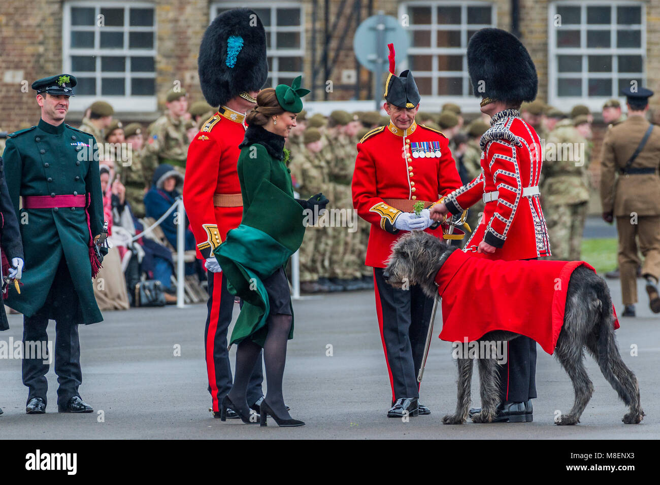 Royal visit to cavalry barracks hi-res stock photography and images - Alamy