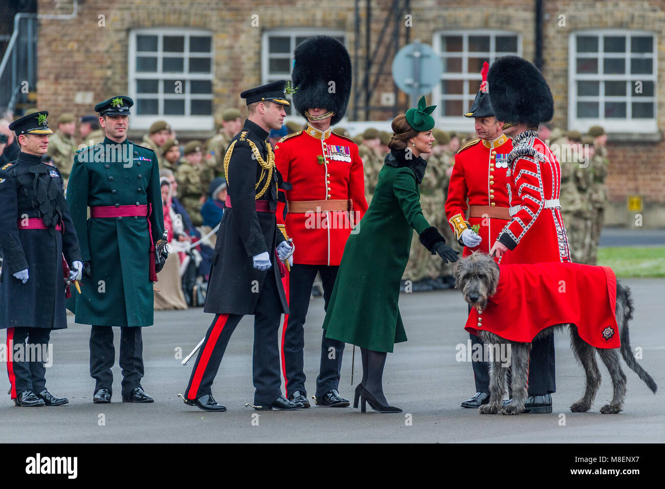 17 cavalry regiment hi-res stock photography and images - Alamy