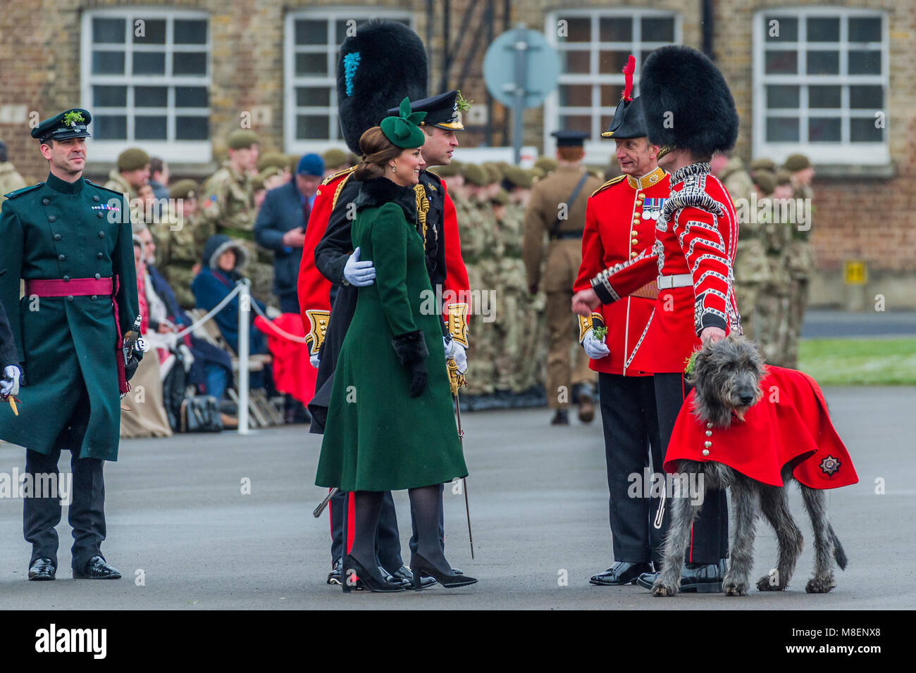 Irish guards wolfhound mascot hi-res stock photography and images - Alamy