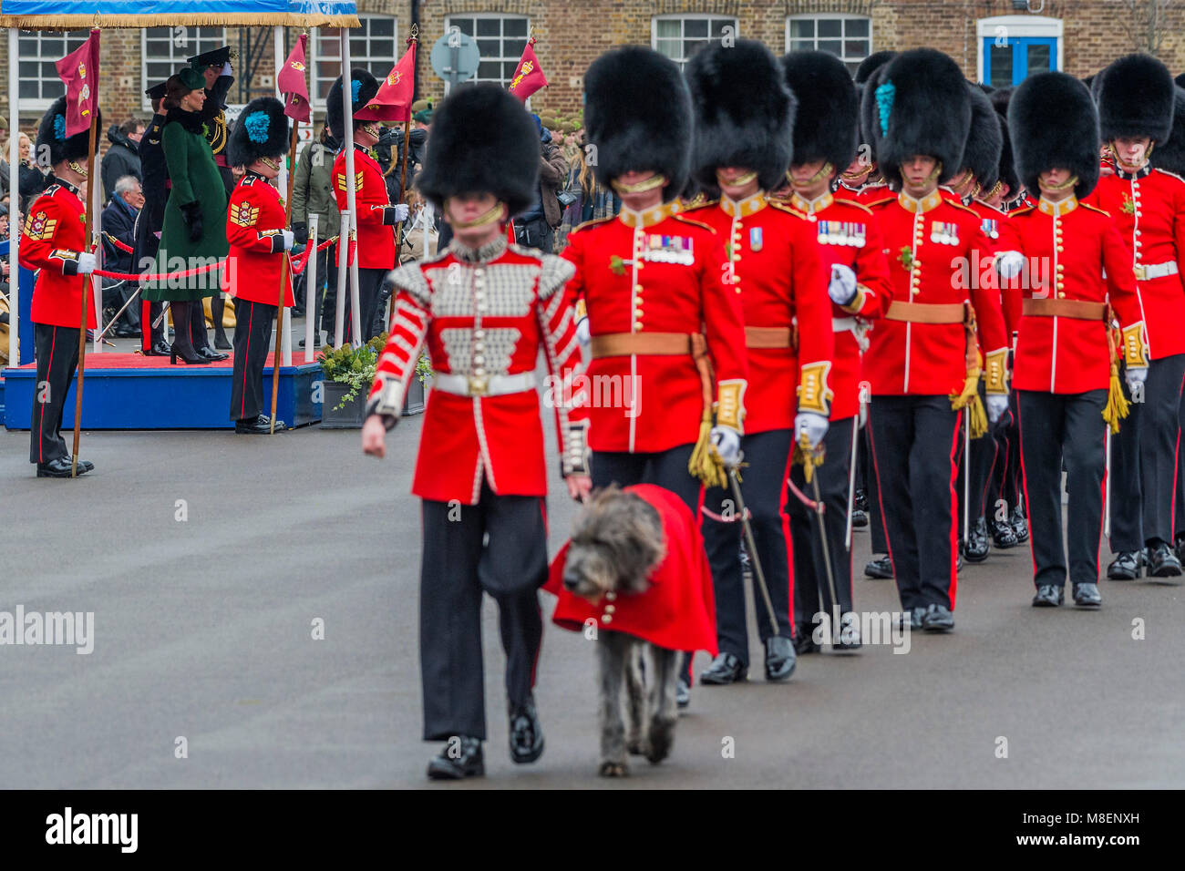 London, UK, 17 Mar 2018. Their mascot, the Irish Wolfhound Domhnal ...