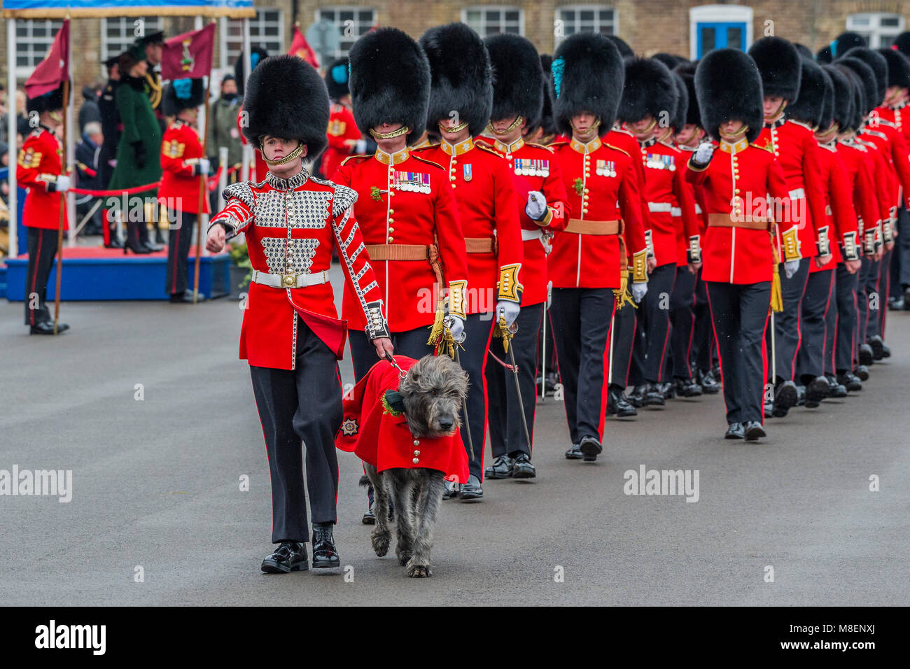 London, UK, 17 Mar 2018. Their mascot, the Irish Wolfhound Domhnal ...