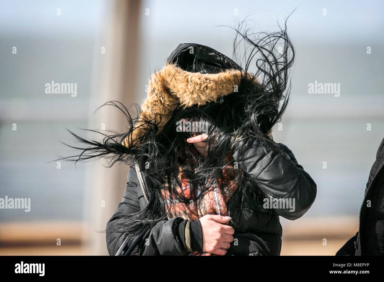 wind,hair,windswept,bad hair day,wind blown hair,long hair,female,face ...