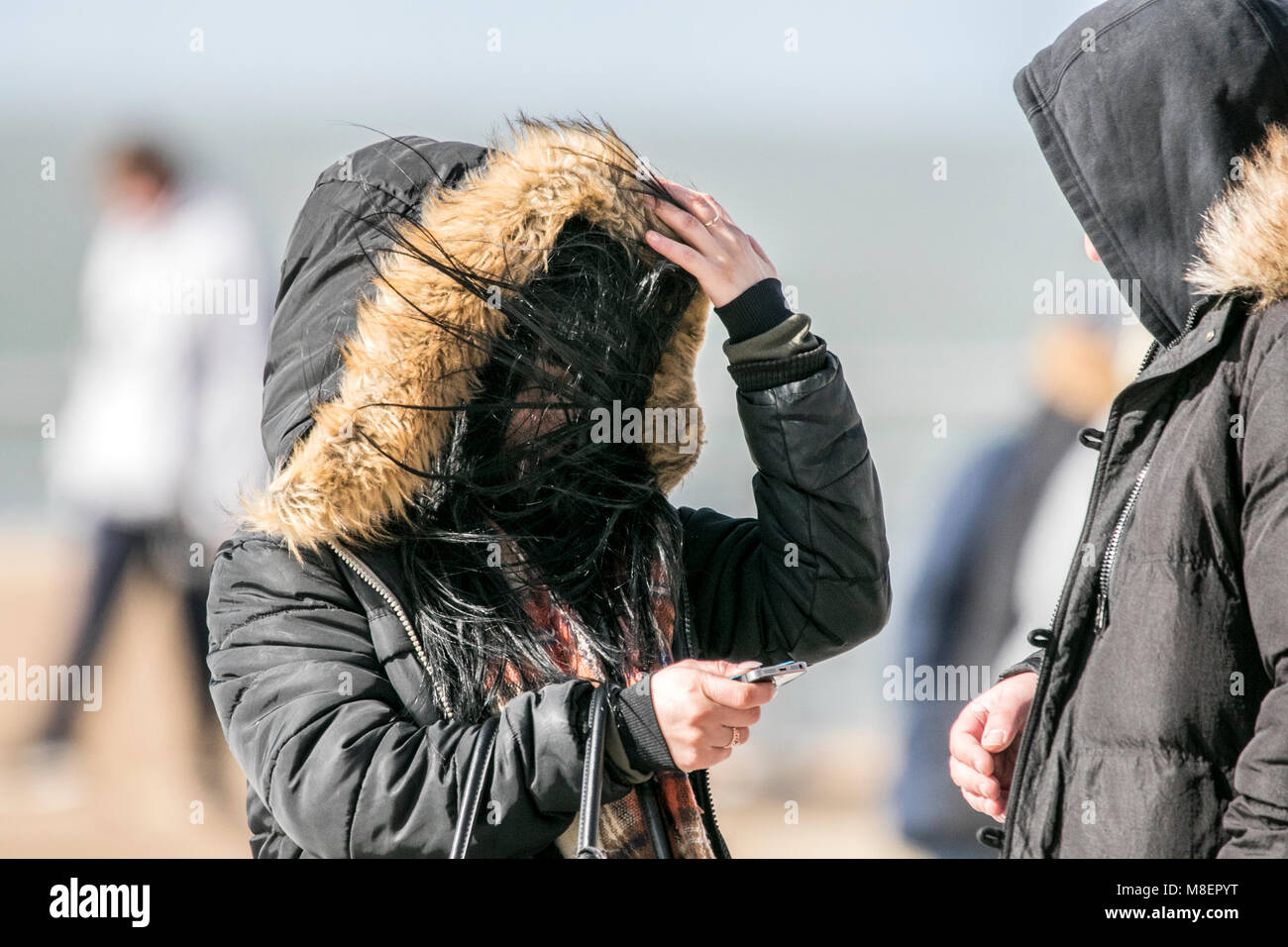 wind,hair,windswept,bad hair day,wind blown hair,long hair,female,face ...