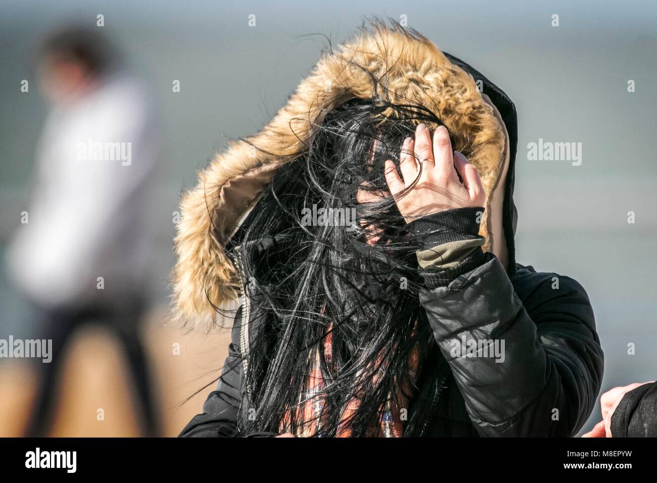 wind,hair,windswept,bad hair day,wind blown hair,long hair,female,face ...