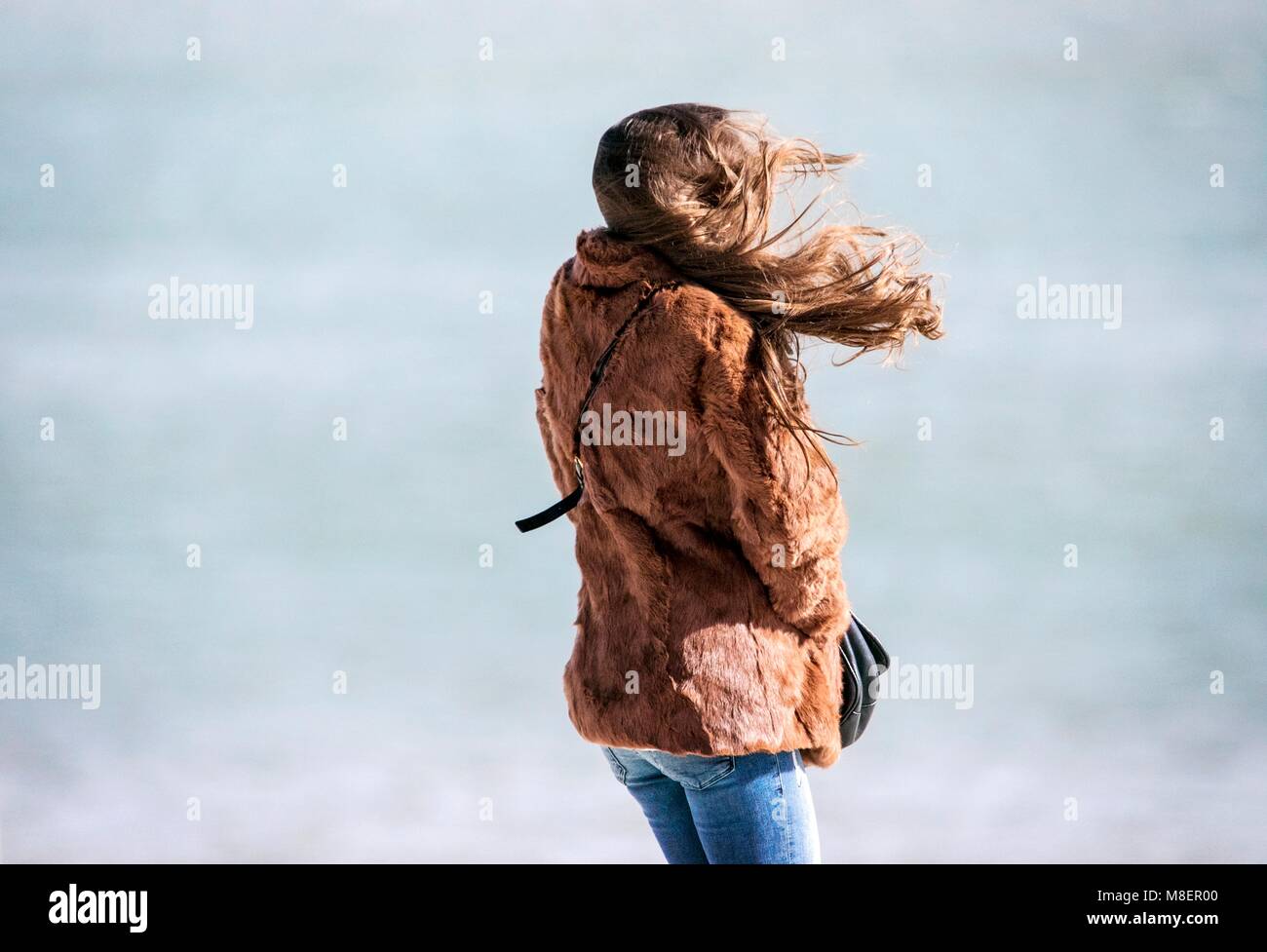wind,hair,windswept,bad hair day,wind blown hair,long hair,female,face ...