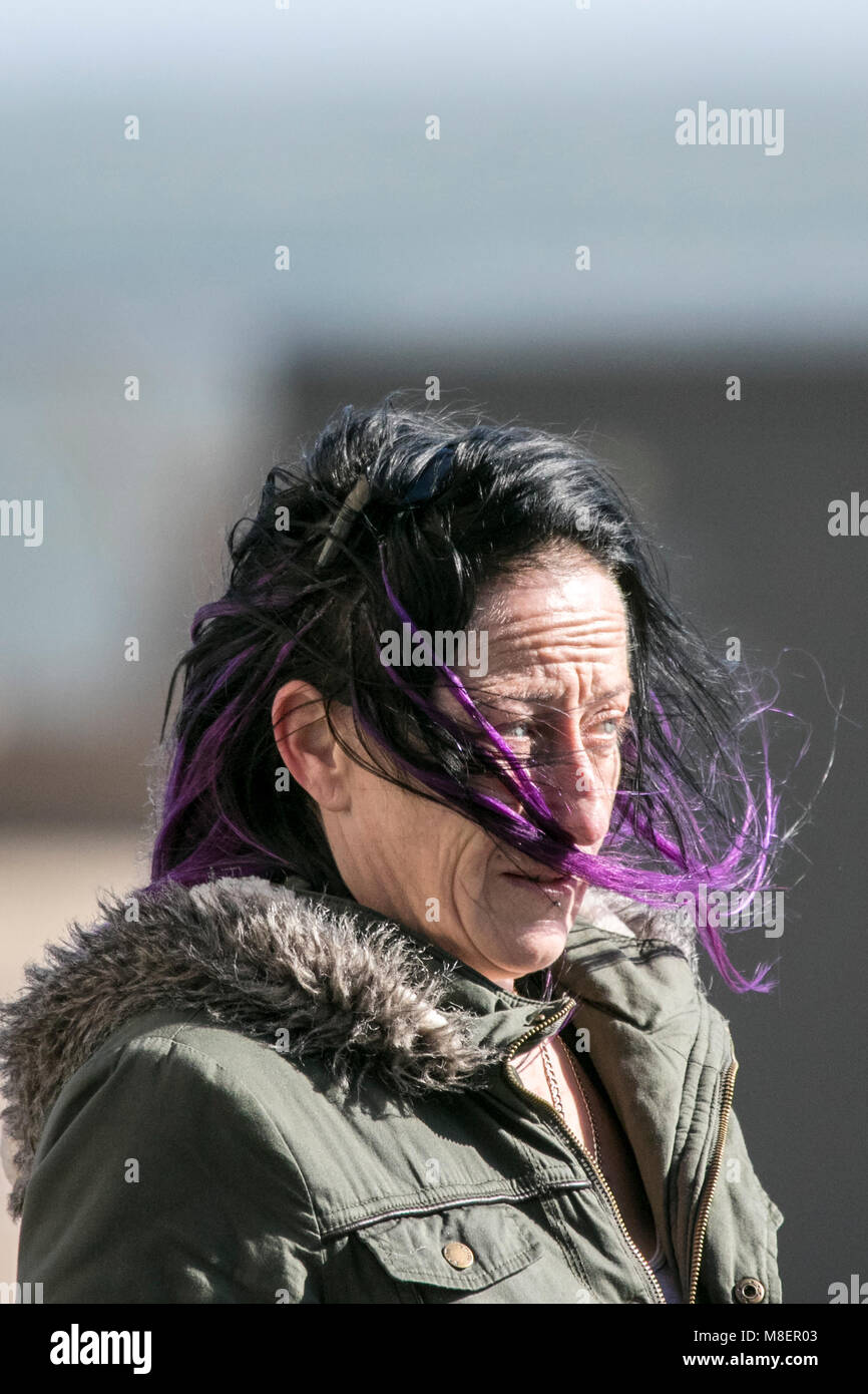wind,hair,windswept,bad hair day,wind blown hair,long hair,female,face ...