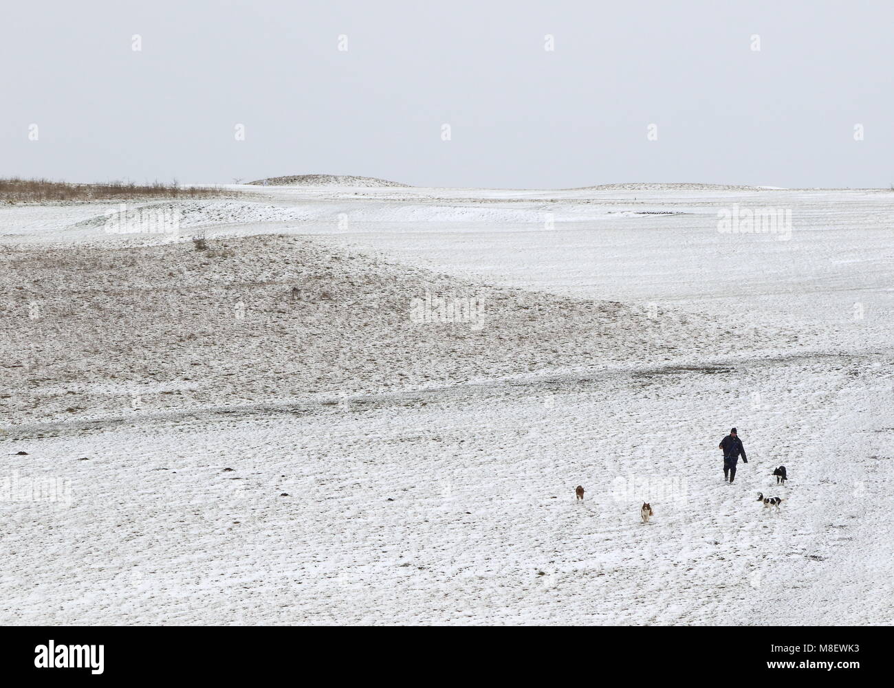 17 royston hi-res stock photography and images - Alamy