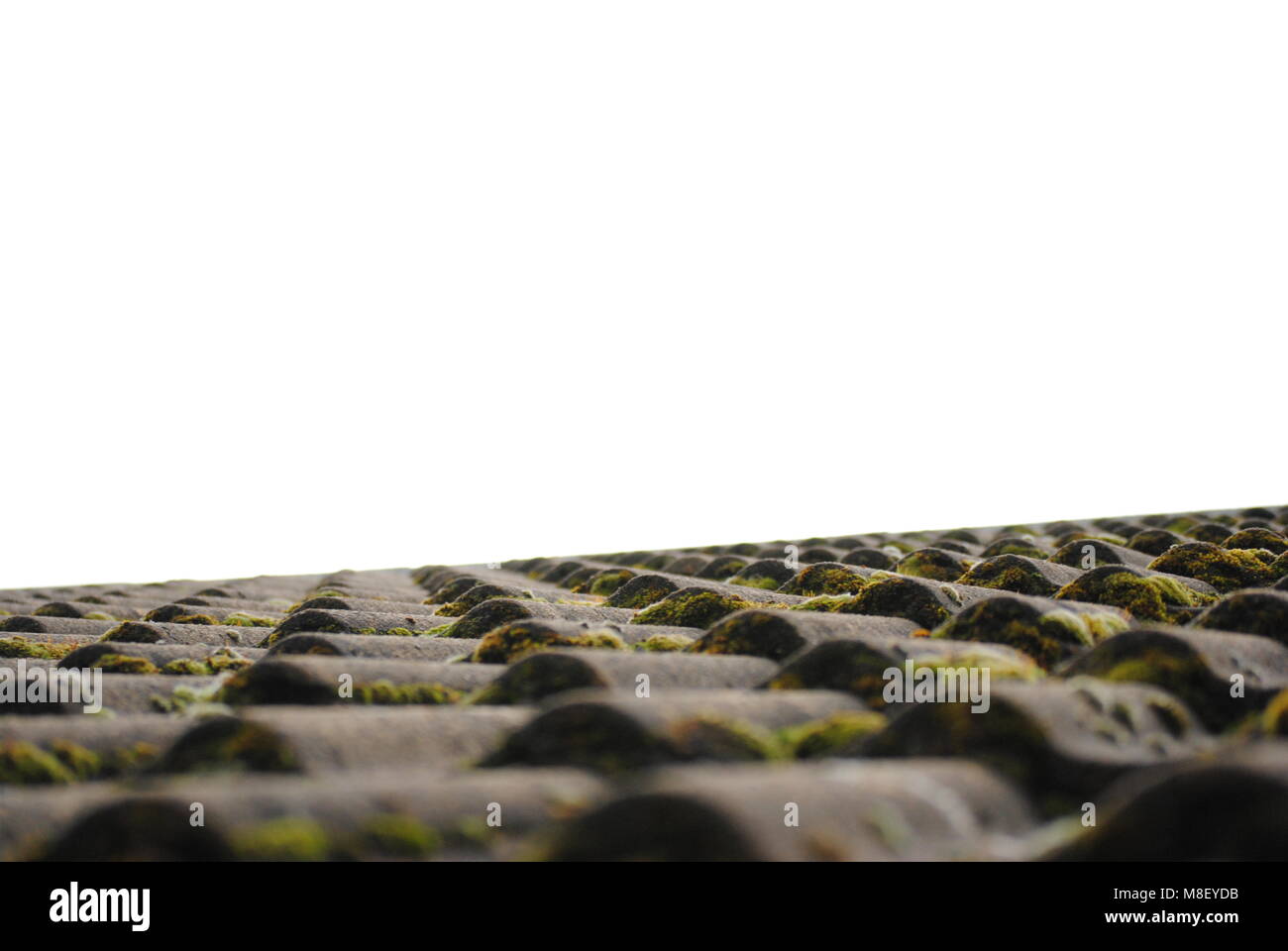 Detail of a house roof with moss growing on it Stock Photo - Alamy