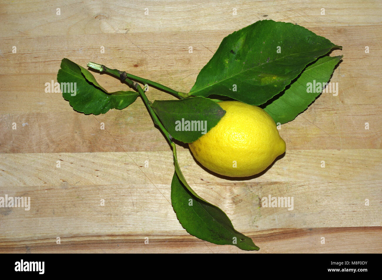 Lemon fruit close-up Stock Photo - Alamy