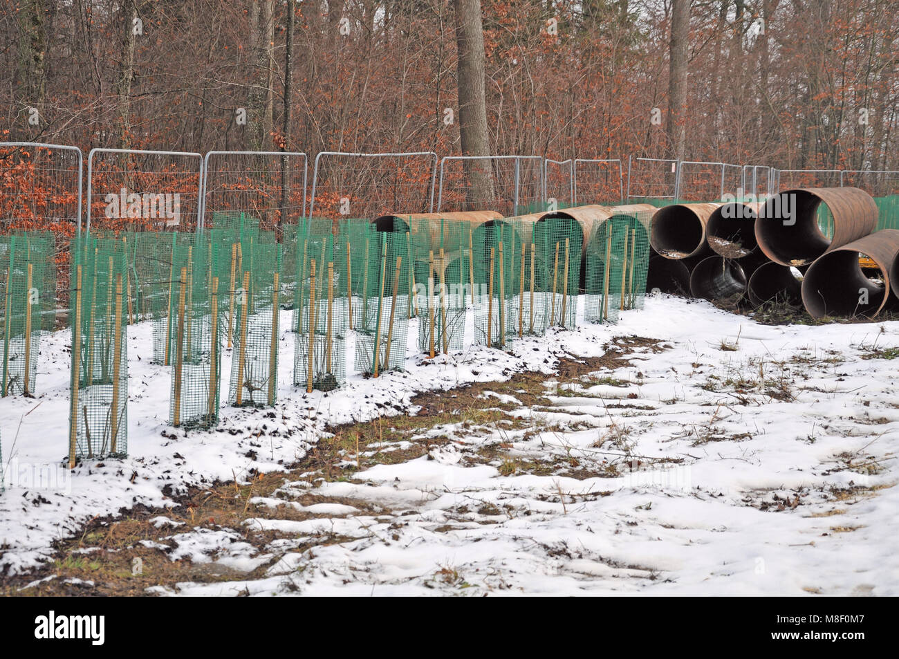 steel pipes at construction site beside tree seedlings Stock Photo - Alamy