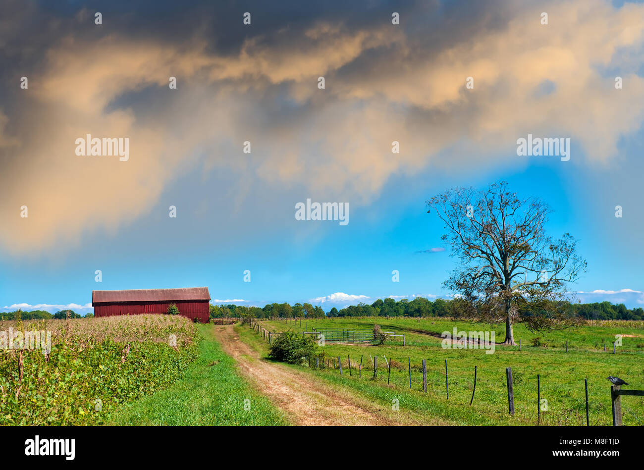 Maryland farm with an old dirt country road leading to a red barn ...