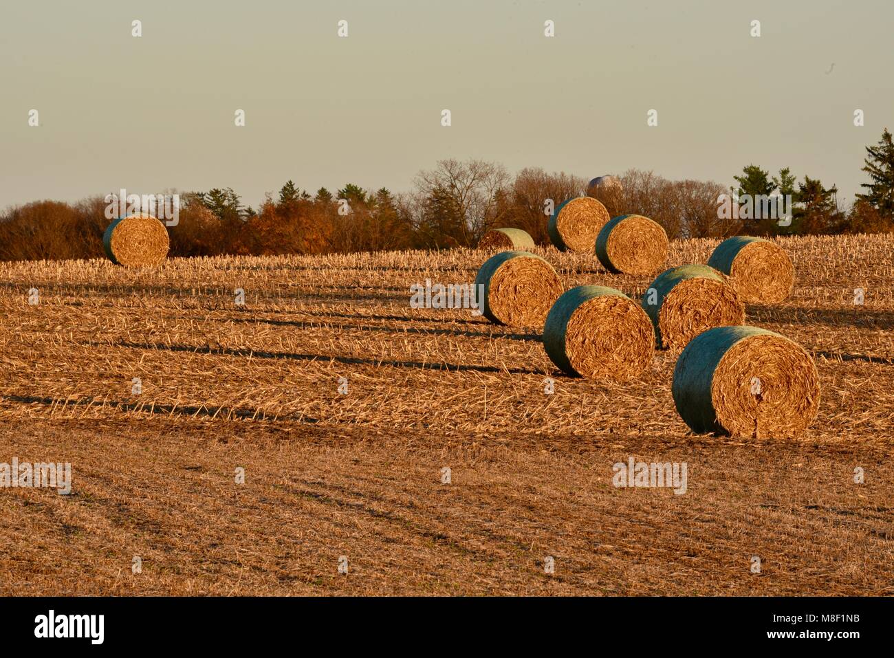 Round fields in usa hi-res stock photography and images - Alamy