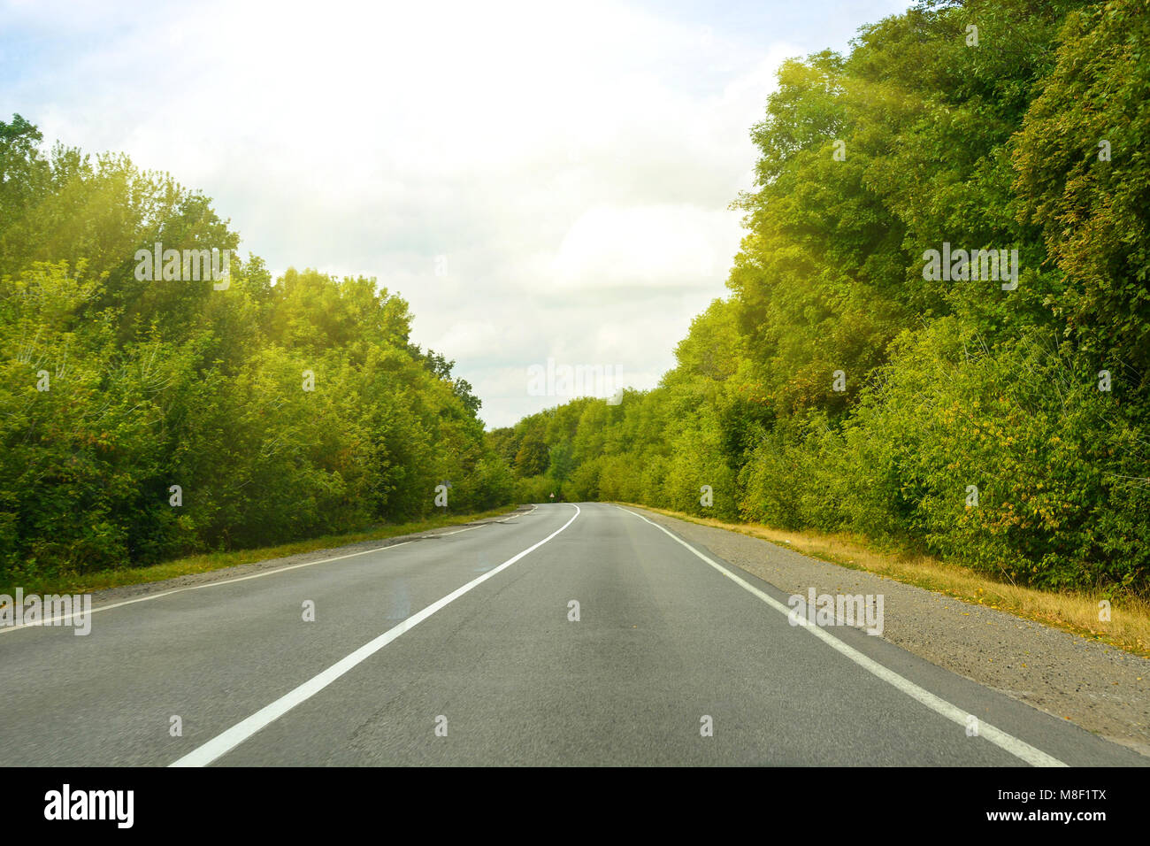 Empty asphalt road in green forest, summer travel landscape, traveling ...