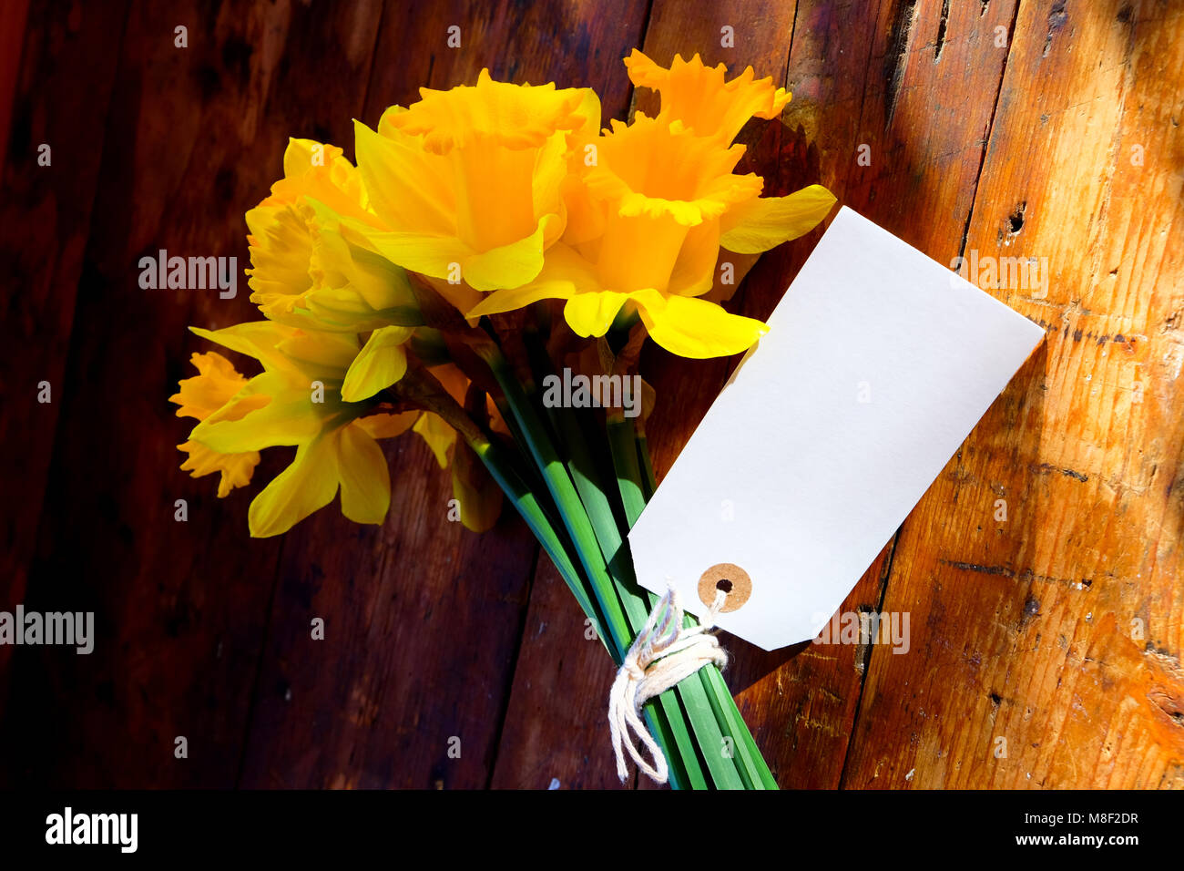 Daffodil bunch string hi-res stock photography and images - Alamy