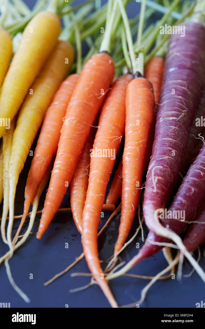 Close up of colorful carrots Stock Photo - Alamy