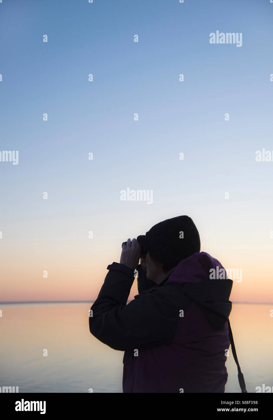 Person birdwatching hi-res stock photography and images - Alamy