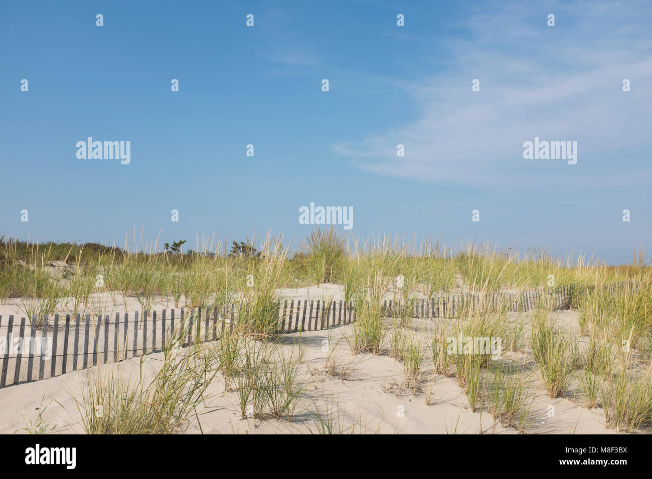 Sand dunes in summer Stock Photo - Alamy