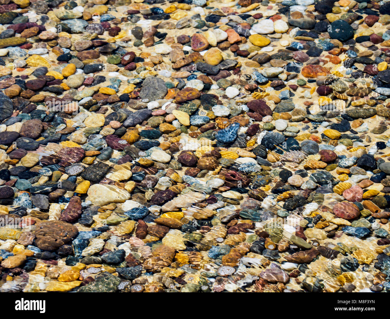 Colorful pebbles underwater Stock Photo - Alamy