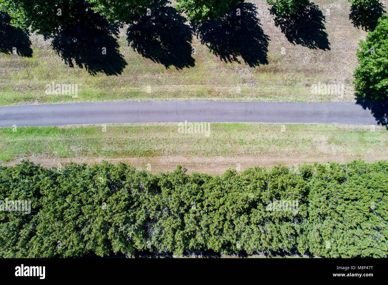 Trees above horizontal road hi-res stock photography and images - Alamy