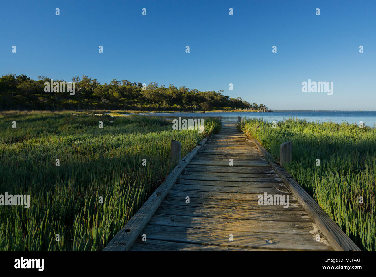 Boardwalk at Peel Inlet, Mandurah, Western Australia Stock Photo - Alamy Boardwalk at Peel Inlet, Mandurah, Western Australia Stock Photo - Alamy