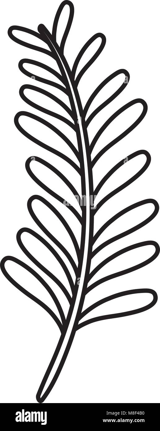 Lush plants line Black and White Stock Photos & Images - Alamy