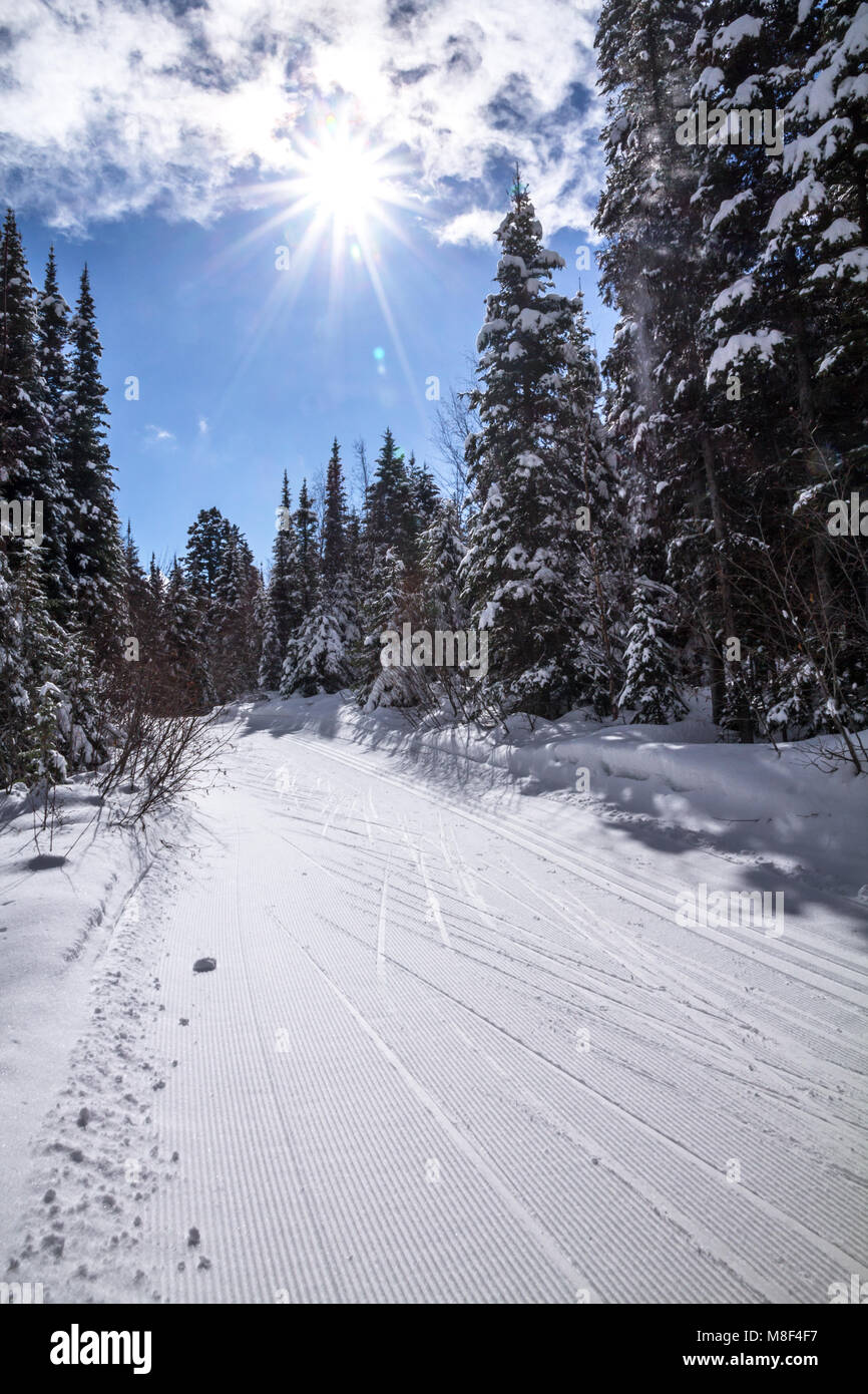 Starburst sun hi-res stock photography and images - Alamy