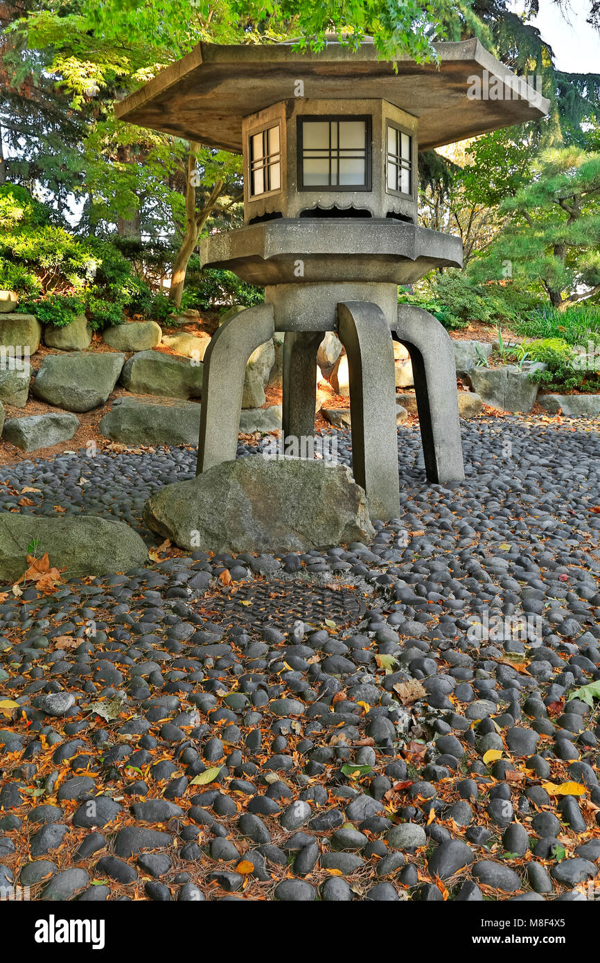 Hundred year old tree hi-res stock photography and images - Alamy