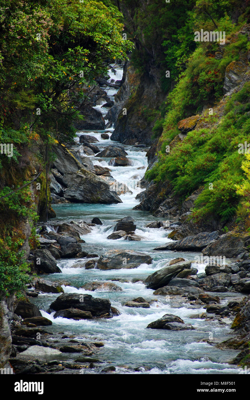 Thunder Creek Falls/Gates of Haast, Mt Aspiring National Park South ...