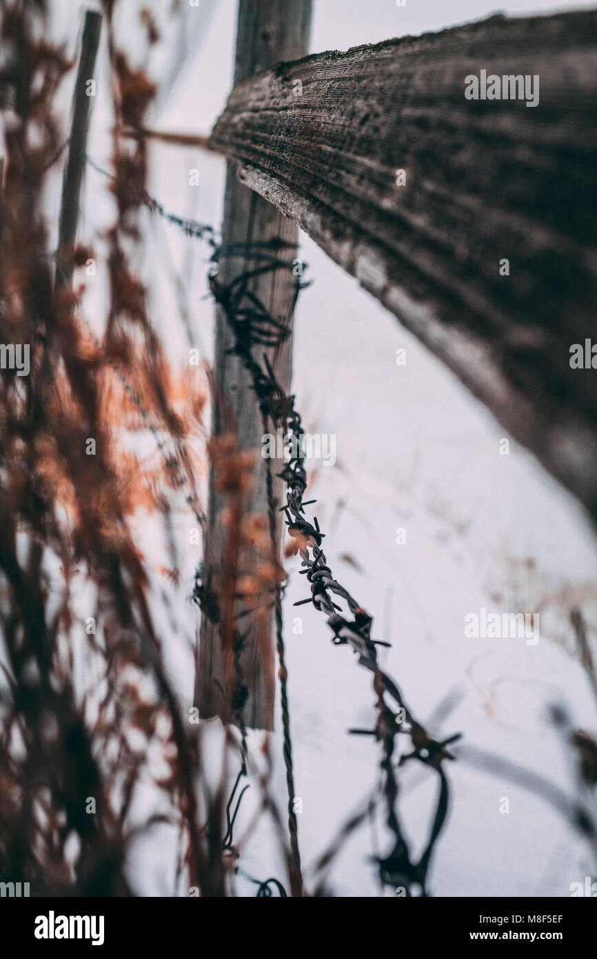 Tangled fence wire hi-res stock photography and images - Alamy