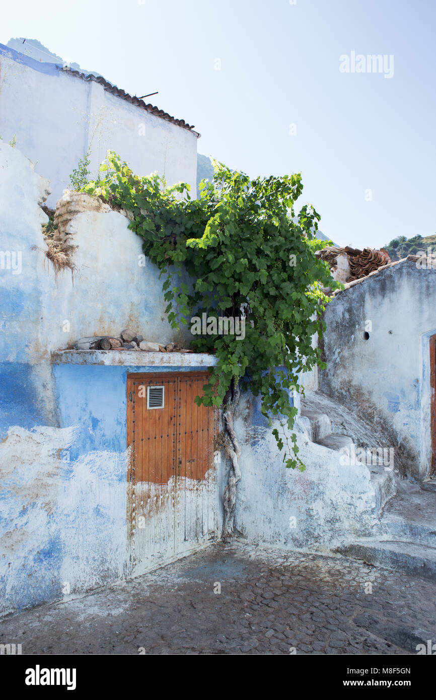 Chefchaouen walls hi-res stock photography and images - Alamy