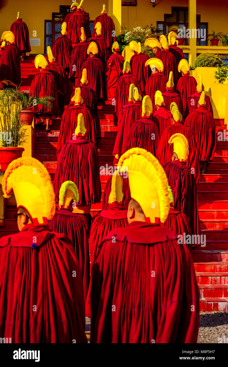 Buddhist Monks Entering Gyuto Tibetan Monastery Dharmashala Himachal ...
