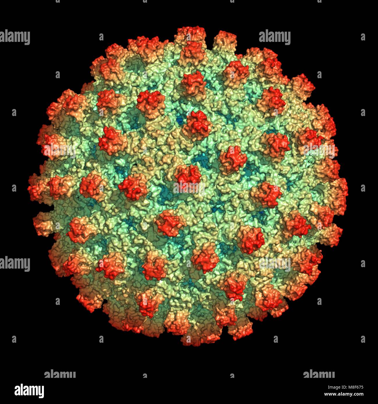 Representation of a Hepatitis B virus particle Stock Photo - Alamy