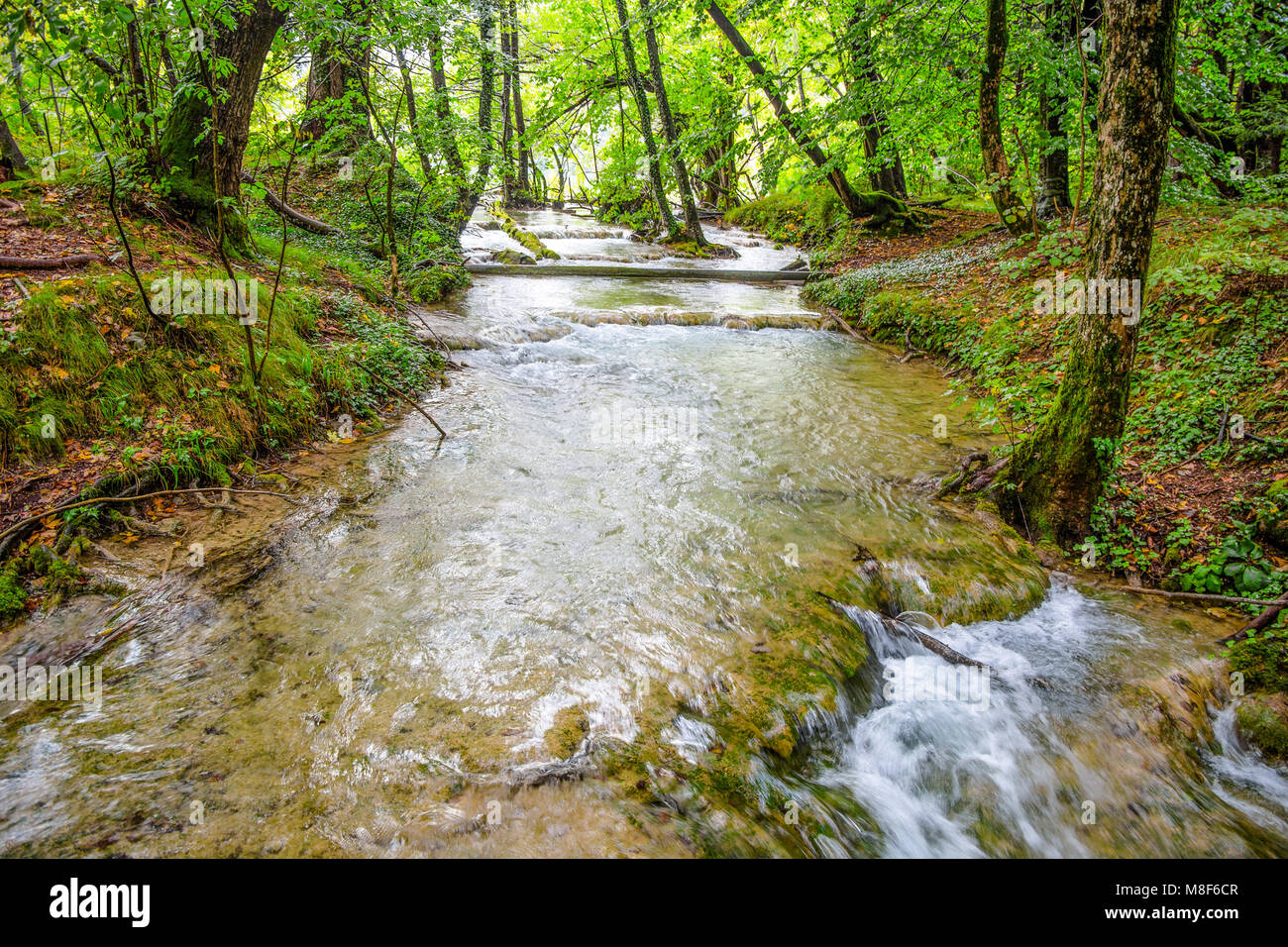 A small river inside a forest in Autumn time Stock Photo - Alamy