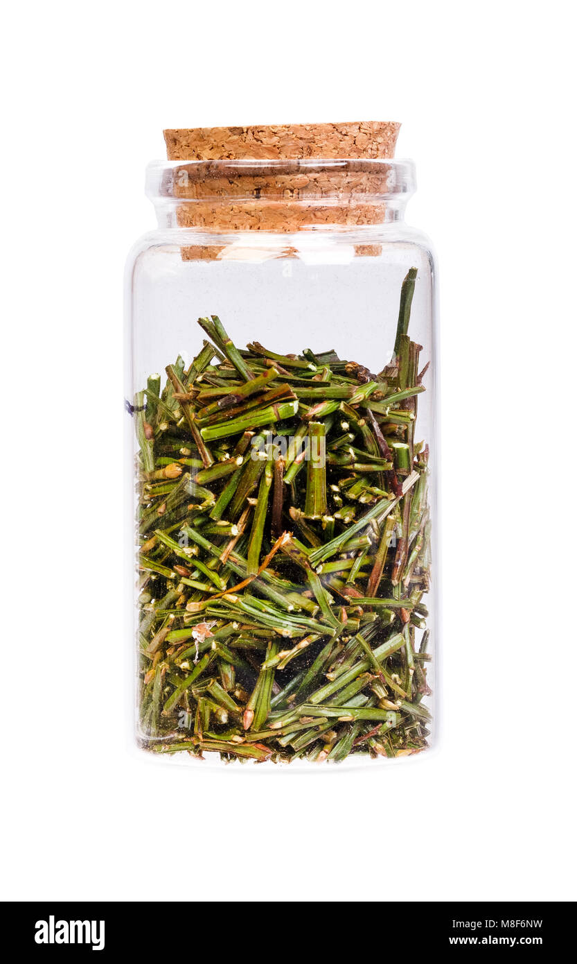 Sprouts sprigs of bilberry for medical use in a bottle Stock Photo - Alamy