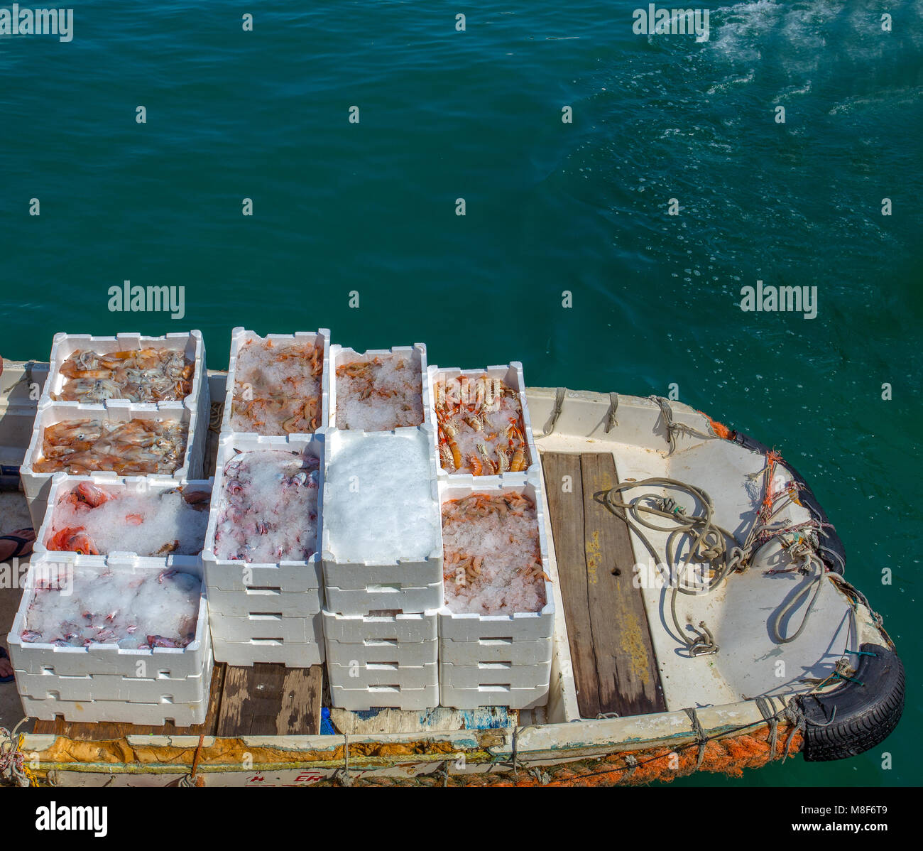 Scampi fishing hi-res stock photography and images - Alamy