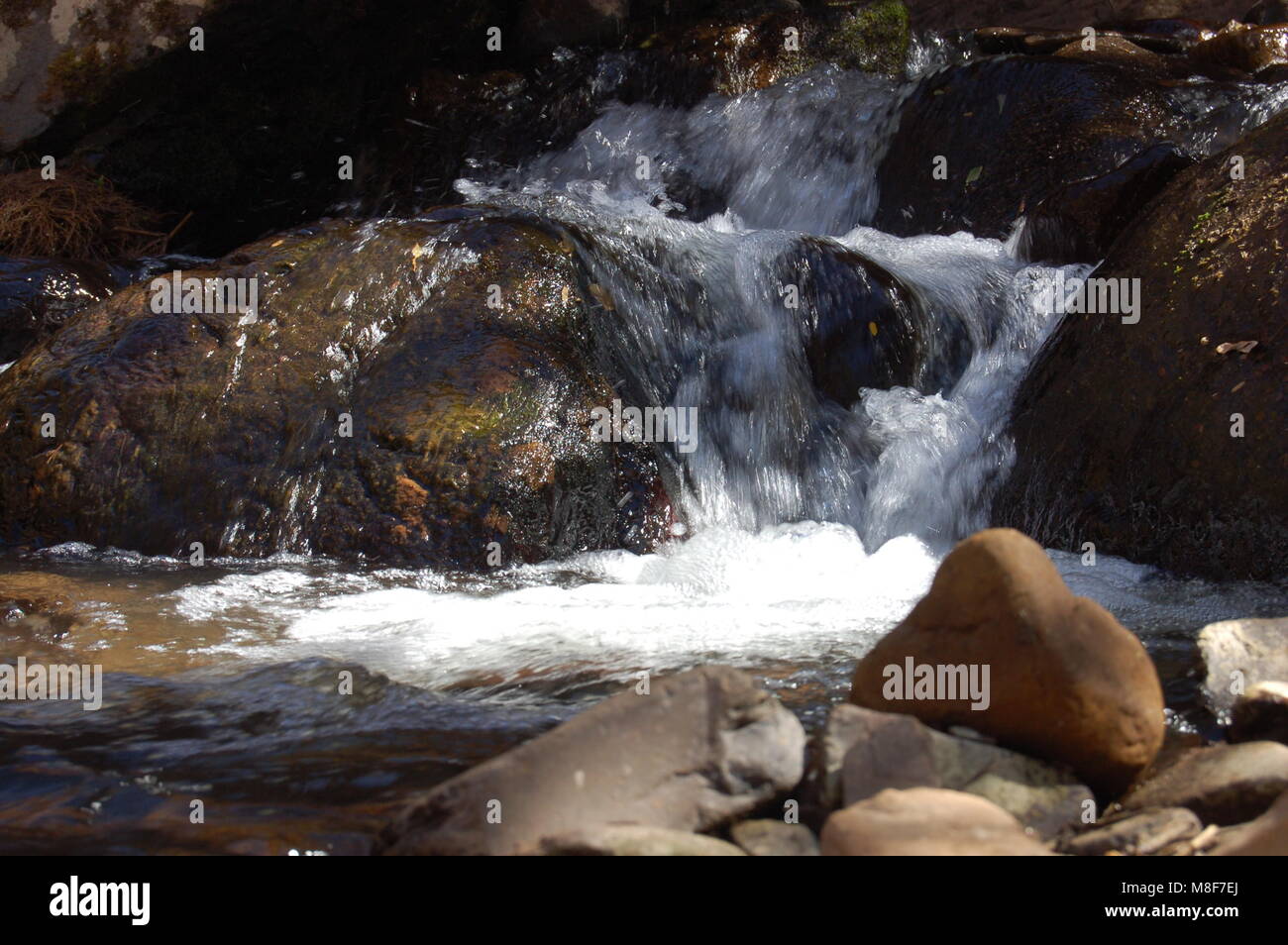 Running Freshwater Stream, Mpumalanga, South Africa Stock Photo - Alamy