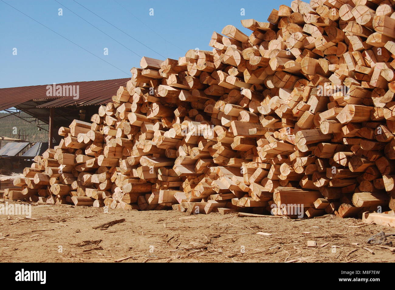 Log yard hi-res stock photography and images - Alamy