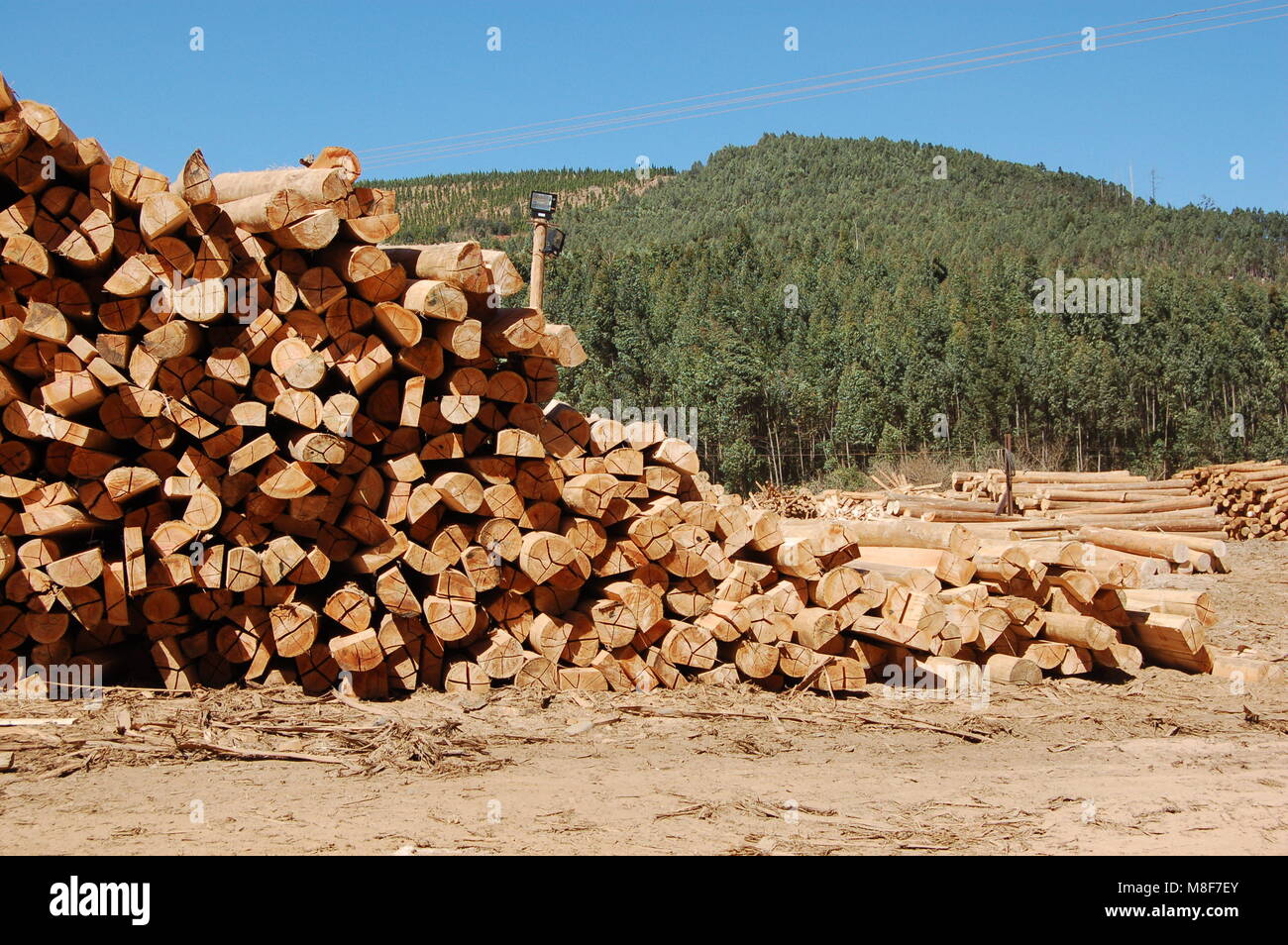 Log yard hi-res stock photography and images - Alamy