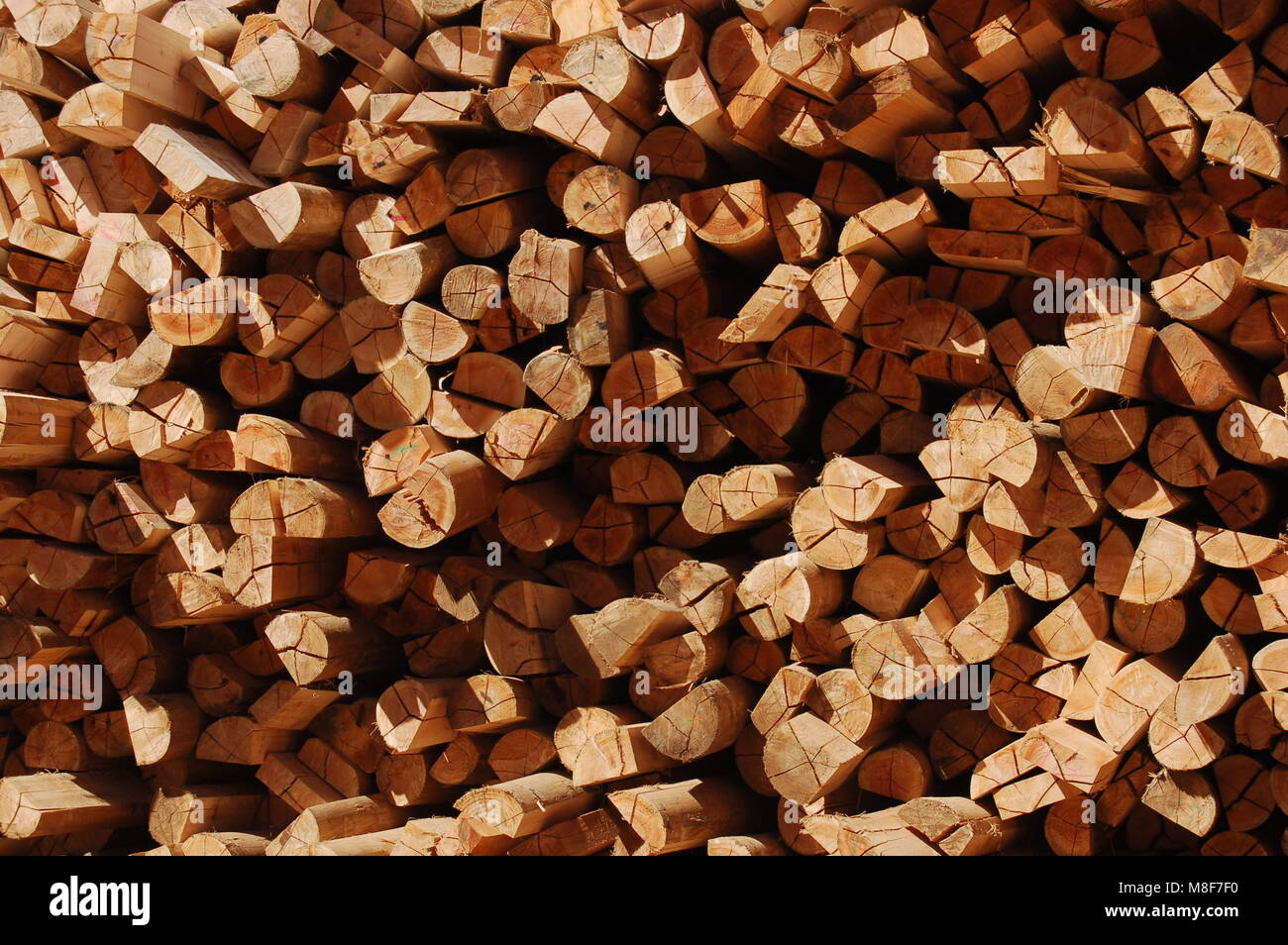Forestry Plantation Log Yard Stock Photo - Alamy