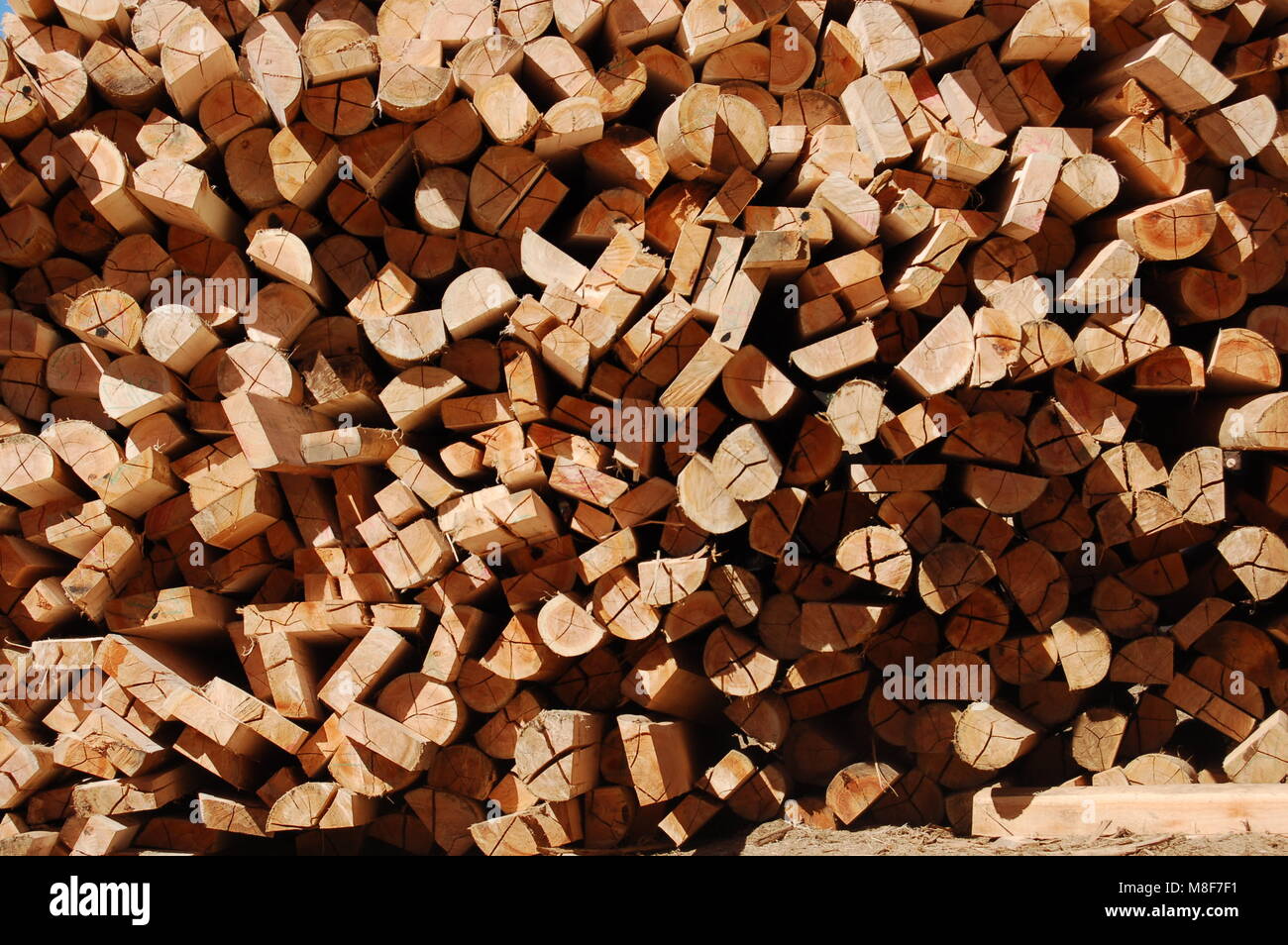 Forestry Plantation Log Yard Stock Photo - Alamy
