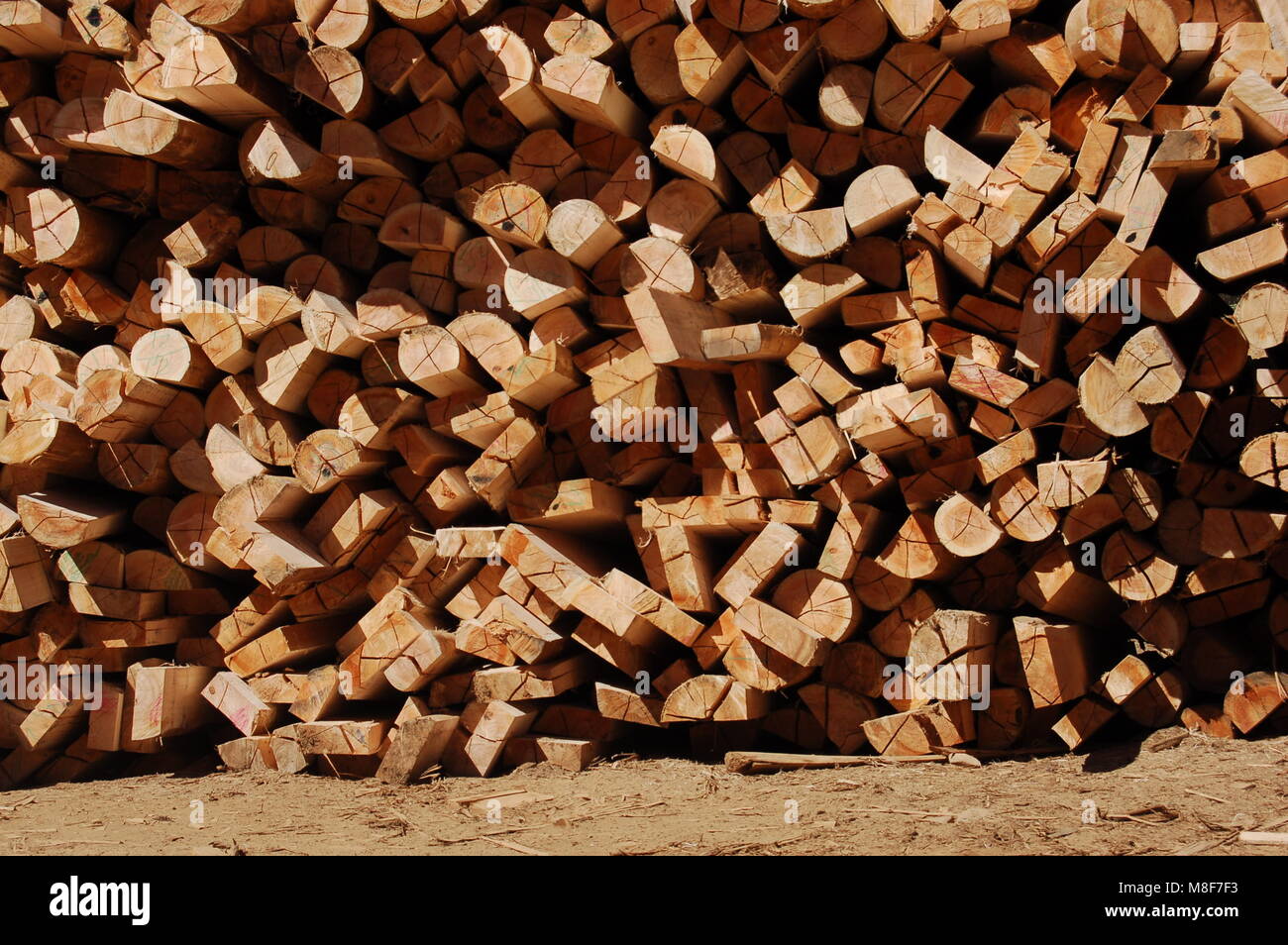 Forestry Plantation Log Yard Stock Photo - Alamy