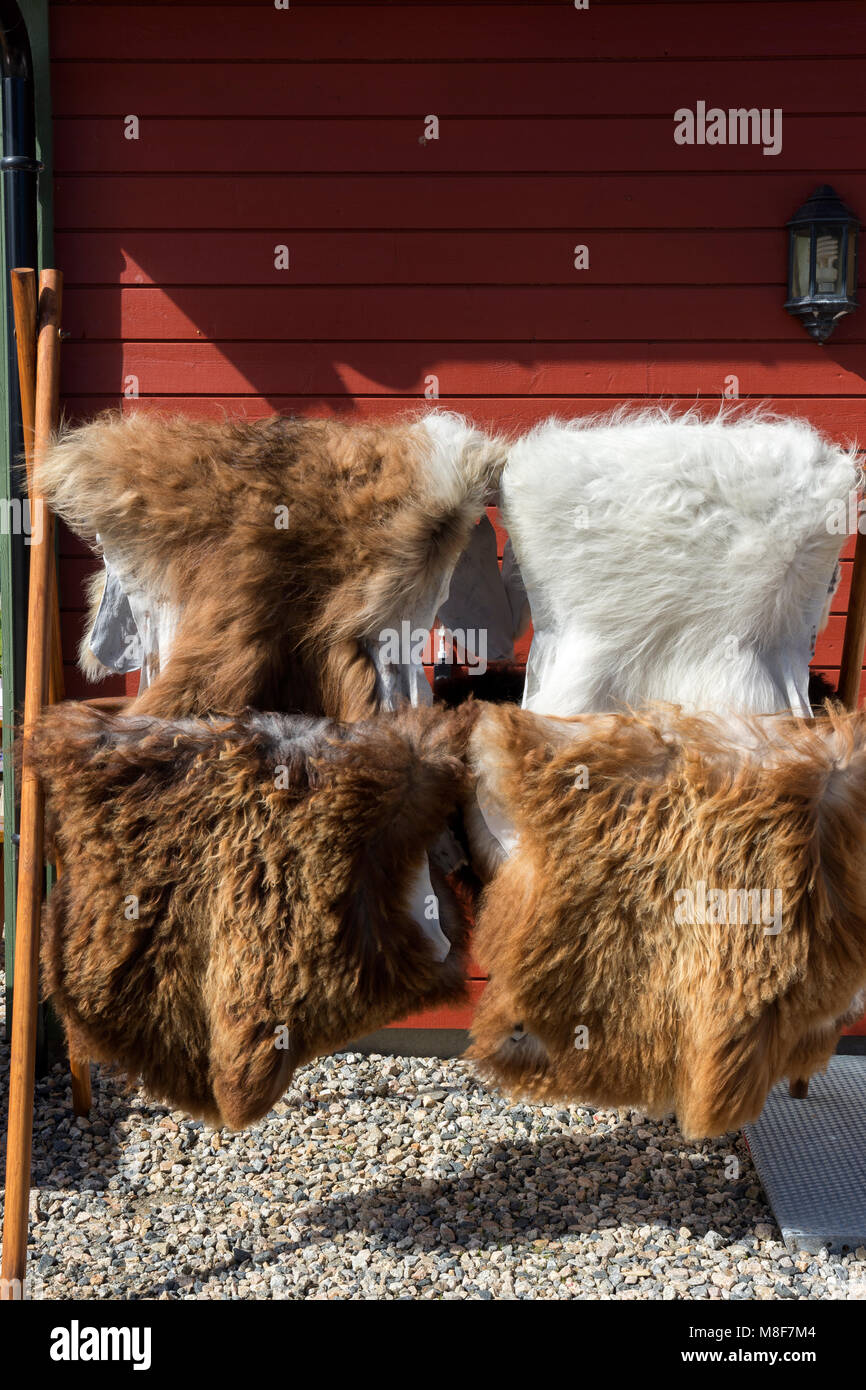 Animals skins and furs hi-res stock photography and images - Alamy