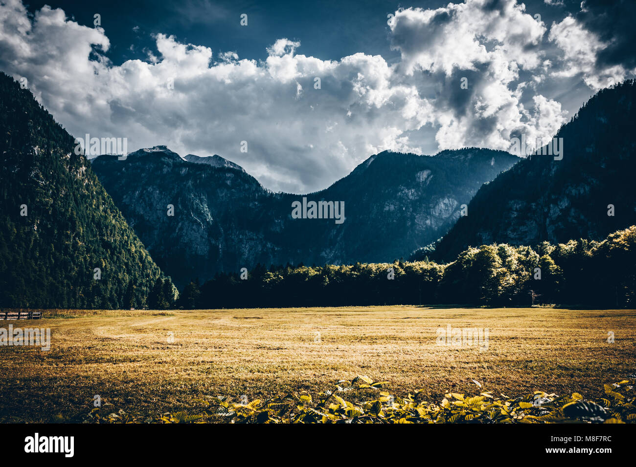 The German Alps Stock Photo - Alamy