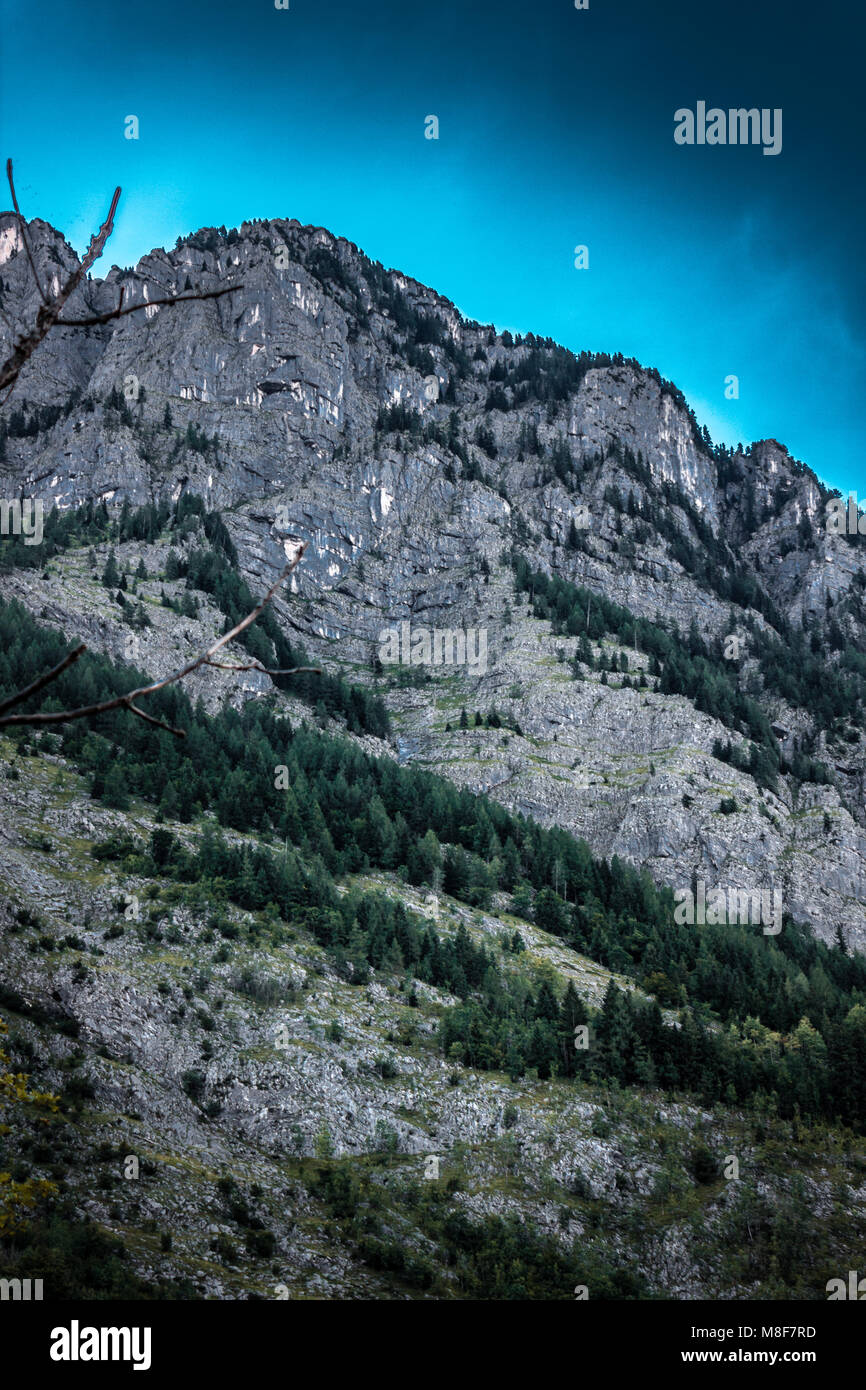 Alp at the tree line hi-res stock photography and images - Alamy