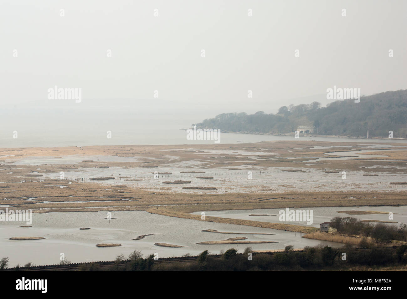 A spring tide starting to flood salt marshes near Jenny Brown’s Point ...