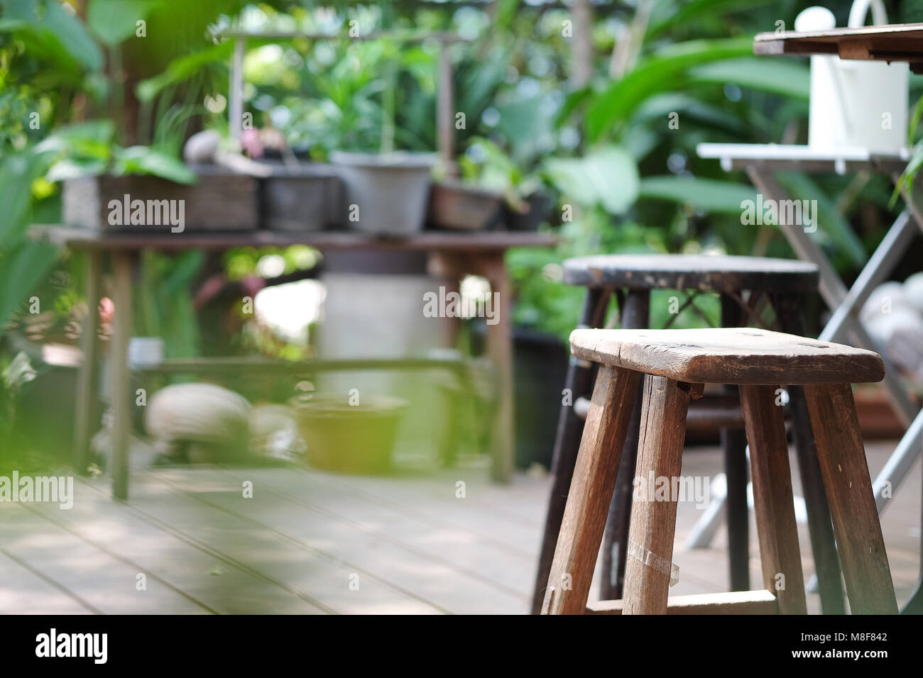 green Garden background,wooden stool in green Garden Stock Photo - Alamy