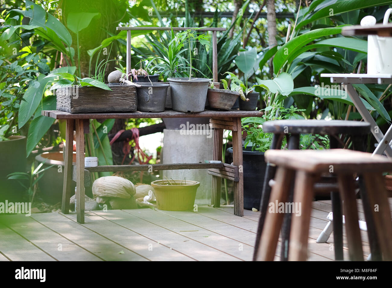 green Garden background,wooden stool in green Garden Stock Photo - Alamy