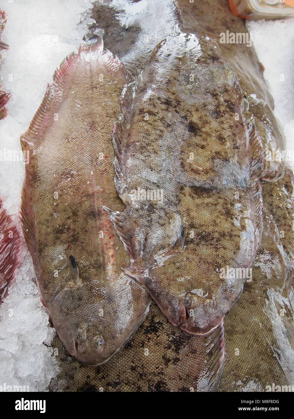 sole fish on market Stock Photo - Alamy