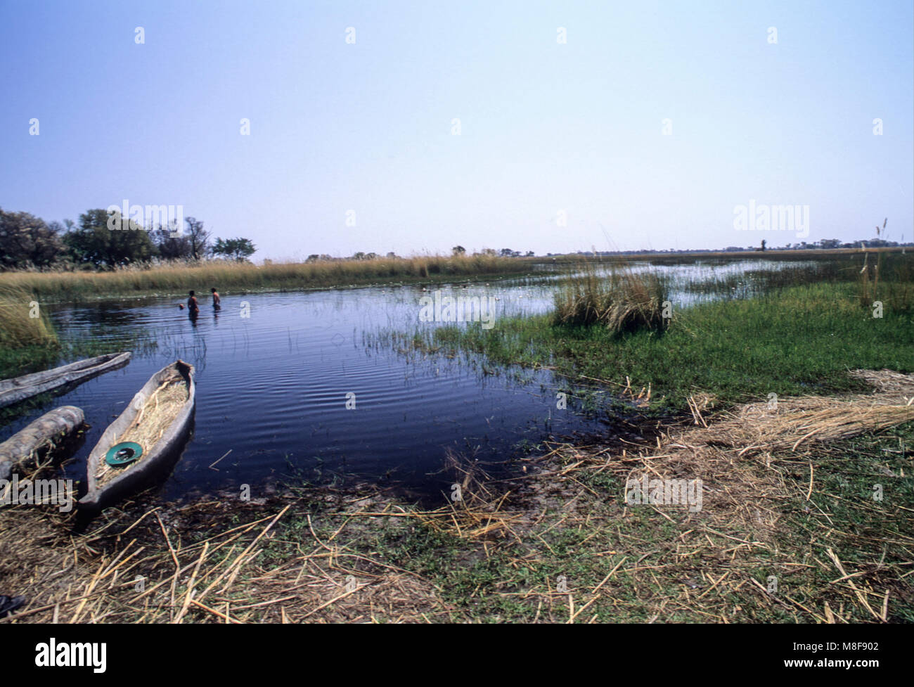 mokoro and tourist swiming in okavango delta, botswana Stock Photo - Alamy